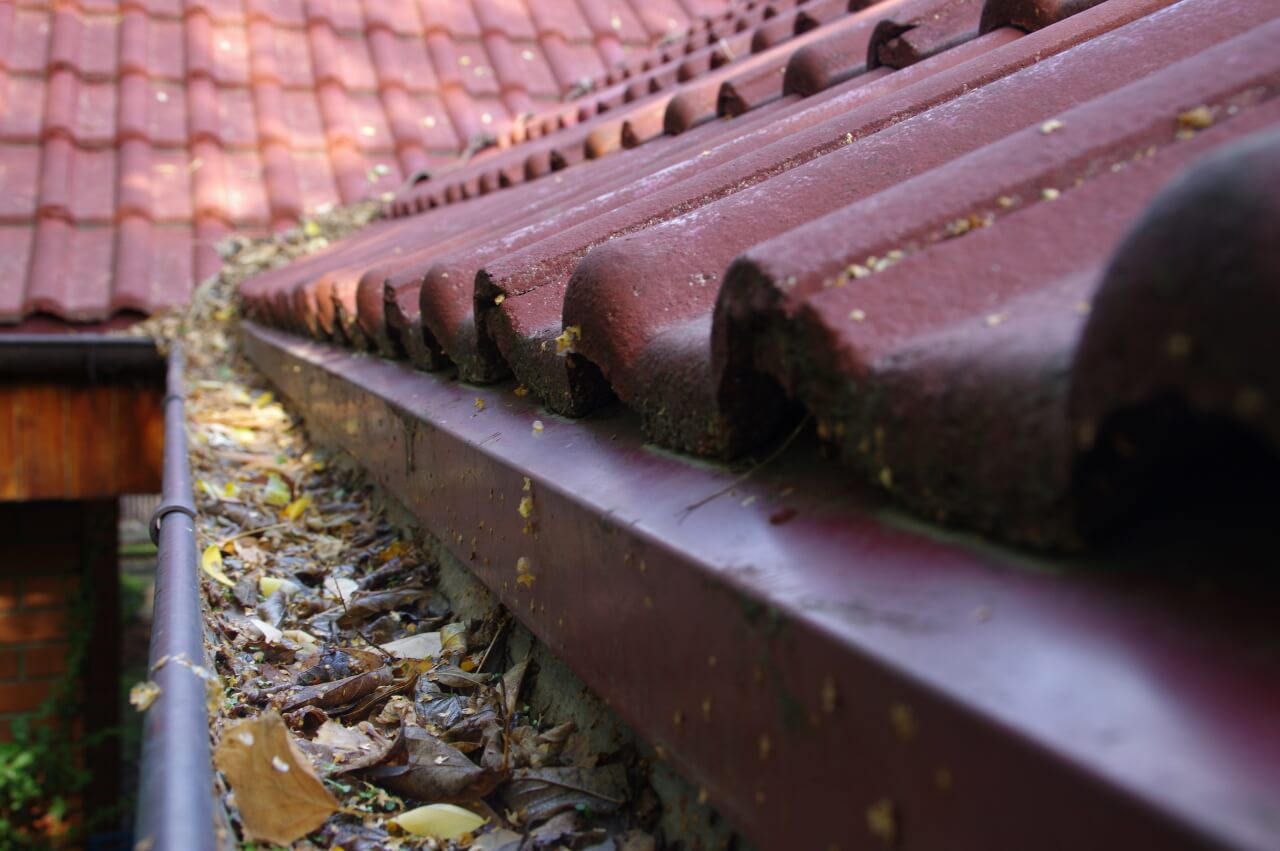 How to Clean Your Gutters Like a Pro | Elite Home Inspections